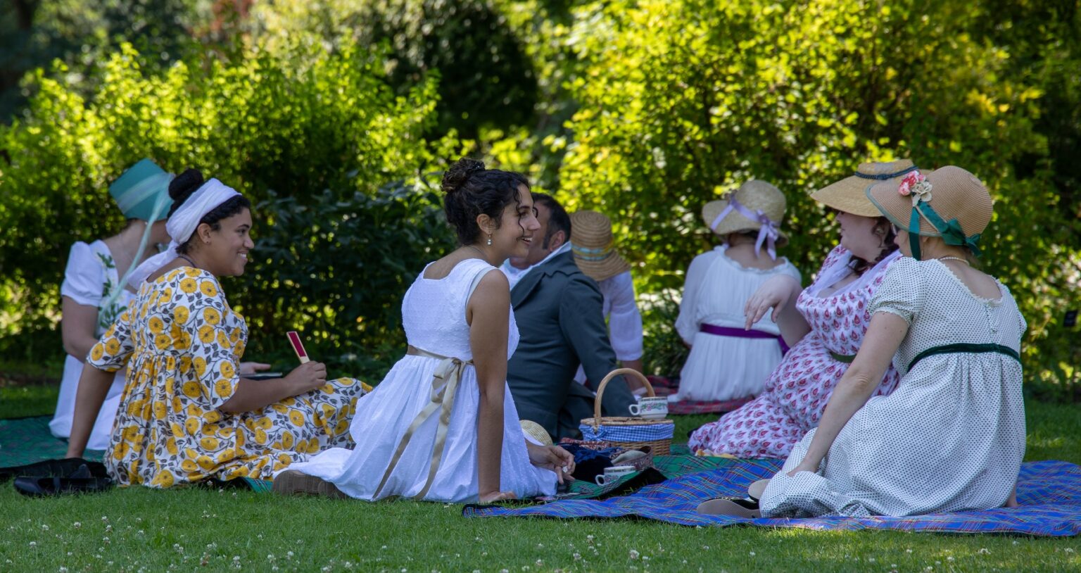 A Lesson Learnt at Box Hill | Jane Austen's House